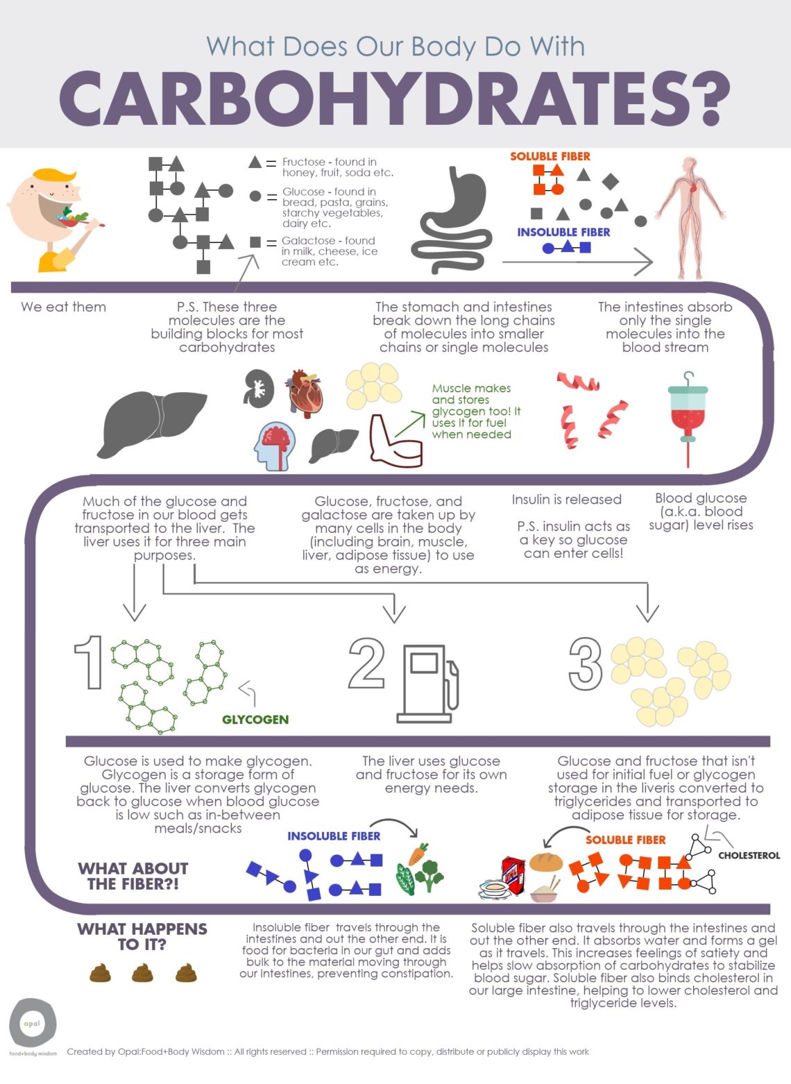 The Appetite Podcast | Myths About Sugar